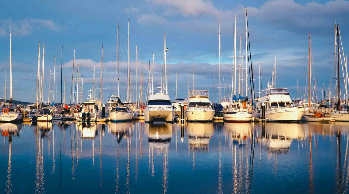 Essential Dock Maintenance Tips for Marina Managers — Paragon Ponds