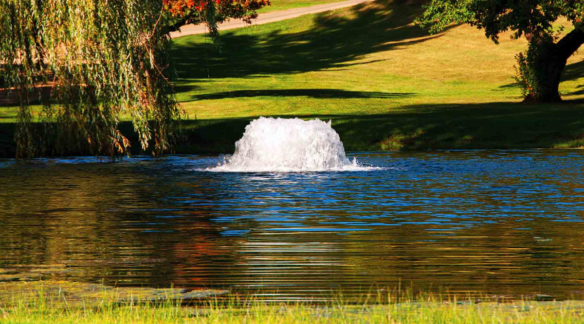 Flow with Purpose: Maximizing Aerator Efficiency in Your Pond — Paragon ...