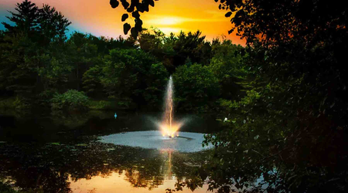 Illuminate Your Waters: Transformative Lighting Ideas for Ponds ...