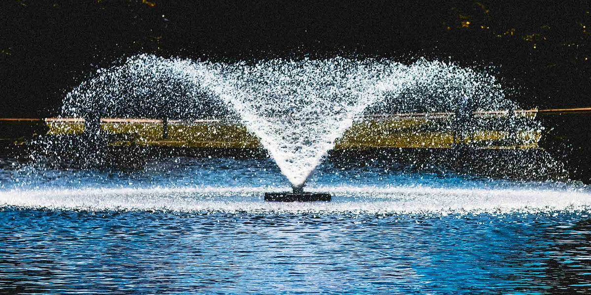 The Vital Role of Pond Aeration: Enhancing Aquatic Ecosystems — Paragon ...