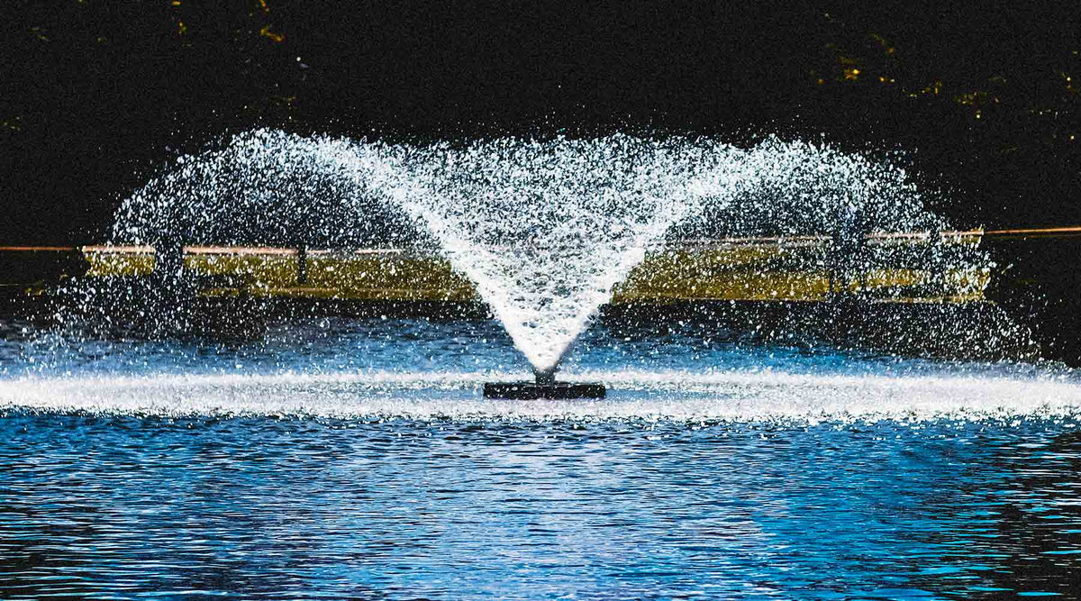 The Vital Role of Pond Aeration: Enhancing Aquatic Ecosystems — Paragon ...