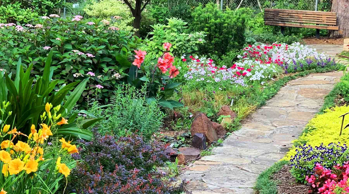 Transform Your Outdoor Space: 10 DIY Landscaping Projects for Every Bu ...